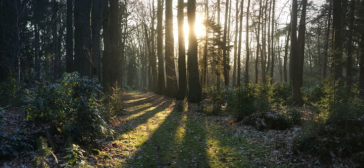 Walderlebniszentrum Grünwald Sauschütt | Ausflugsziel-Tipp in ...